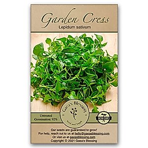 Gaea's Blessing Seeds - Curled Cress Seeds (3.0g) - Non-GMO Seeds with Easy to Follow Planting Instructions - Heirloom Garden Cress - Pepper Cress - 93% Germination Rate