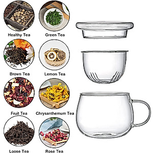 Set of 2 Glass Tea Cups Tea Mug with Infuser and Lid - Heat Resistant Borosilicate Glass, Clear Teacup with Strainer for Loose Leaf Tea, Blooming Tea, and Tea Bags - Ideal for Tea Lovers