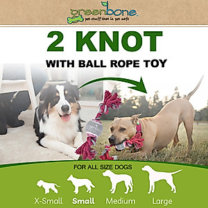 Greenbone Wonderpet! Pull n Play Tennis Ball Toys - Medium Size Dogs