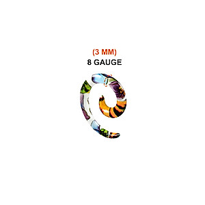 BanaVega 2PCS Acrylic 8g 1/8 (3mm) Flesh Colorful Flower Spiral Taper Earring Ear Gauges Stretcher Piercing Jewelry 8413 TP AC SPIRAL FLOWER P2 0