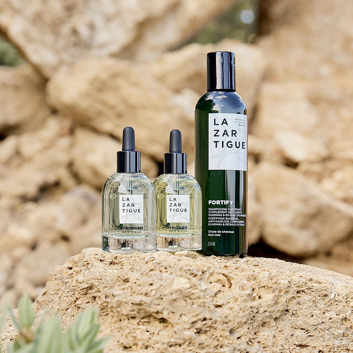 Lazartigue Fortify Densifying Shampoo, Enriched with Guarana and Ricinus, Strengthens Fragile Hair, Stronger Appearance, Perfect for Everyday Usage, Vegan, Lemon, 8.4 Oz