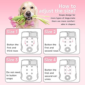 Paw Legend Washable Reusable Female Dog Period Diapers for Heat Doggie Puppy Diapers for Female Dogs (3 Pack, Leopard, X-Small)