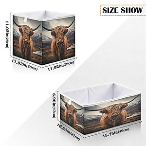 Haskirky Highland Cow Foldable Collapsible Storage Box Bins,11x11x11 Inch Cubes Baskets Fabric Storage Bins with Handles for Shelves Nursery Closet Home Decor