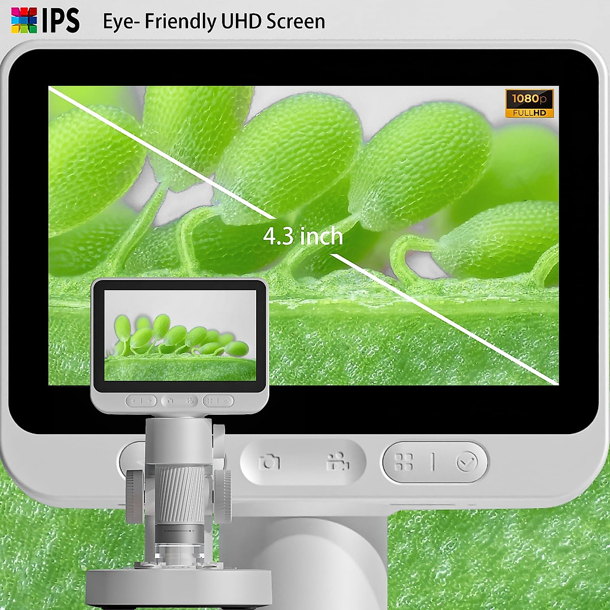 BEAVERLAB Digital Microscope with 4.3'' 1080P IPS Screen [Eco-Friendly Optical Staining] 1600x Magnification for Classroom Education, Macro Photography, Coin Collection, Learning and Explore