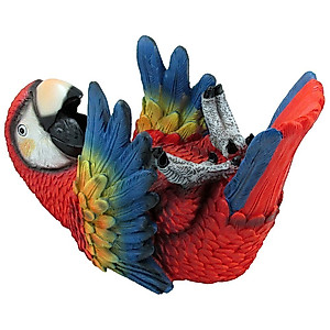 Tropical Parrot Wine Bottle Holder As a Display Stand Statue for Whimsical Beach Bar or Nautical Dining Room Tabletop Wine Rack Decor or Decorative Macaw and Bird Sculptures