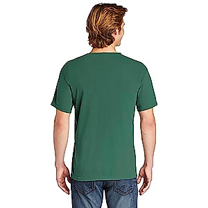Comfort Colors by Chouinard Adult Ring-Spun Tee (Light Green) (XL)
