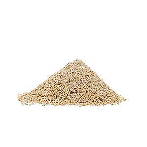 Bob's Red Mill Scottish Oatmeal, 20-ounce (Pack of 4)