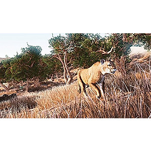 Hunting Simulator (Switch)