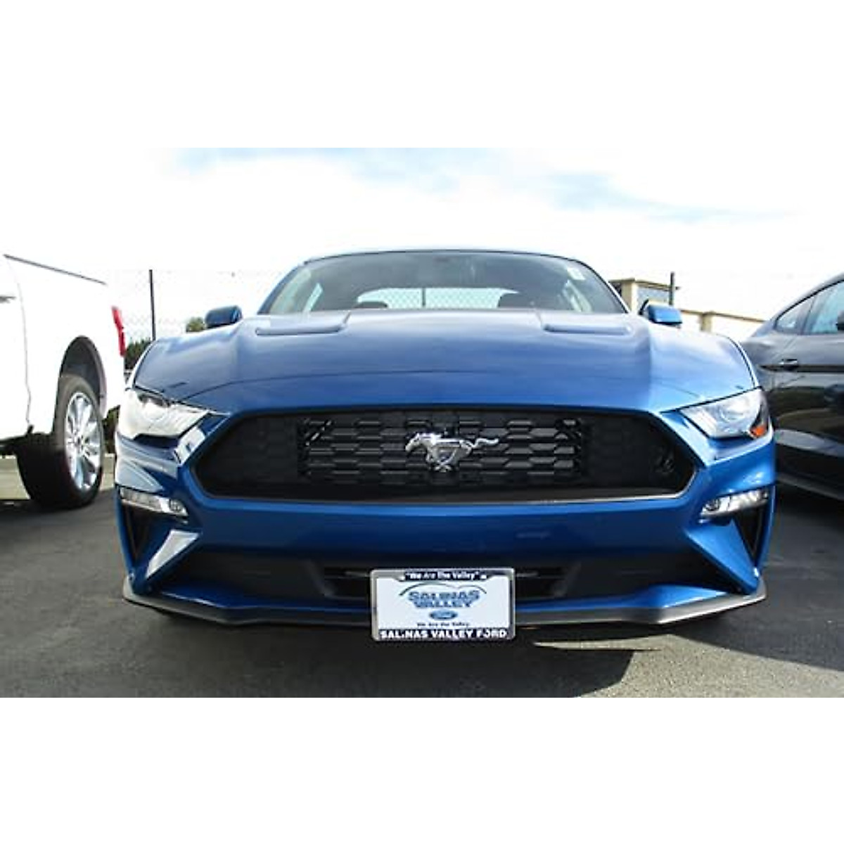 STO N SHO Front License Plate Bracket Compatible with 2018-2023 Ford Mustang GT/EcoBoost without Performance Pack(SNS135)