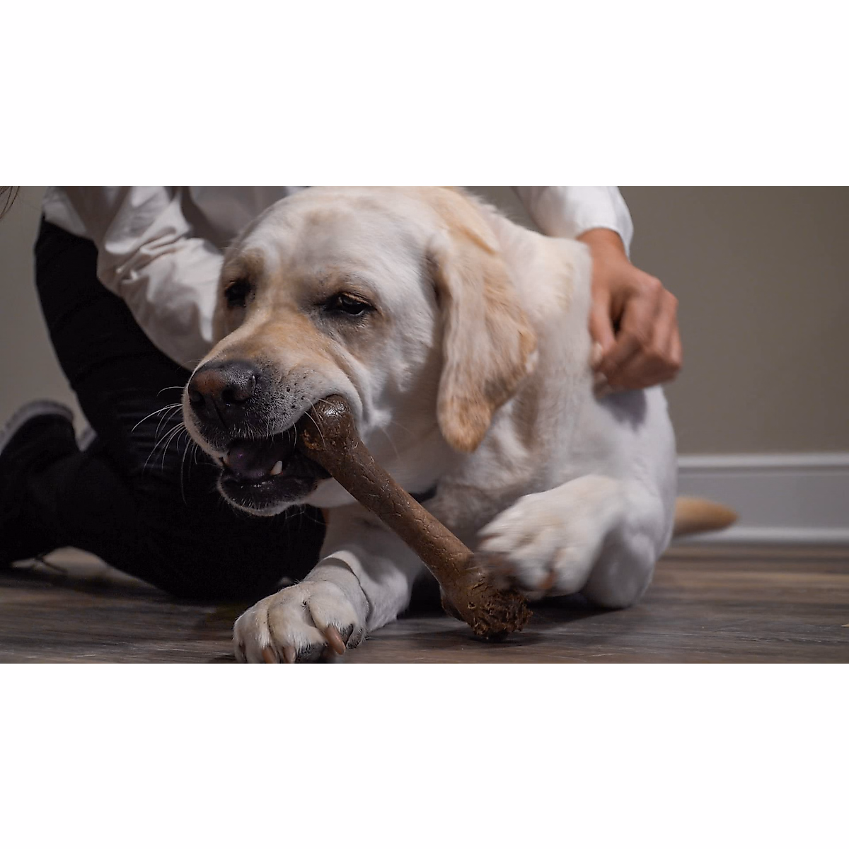 HERO | Bonetics | Dog Bones | Puppy Bones | Designed for Large Dogs Up to 65 lbs (Beef Flavor)