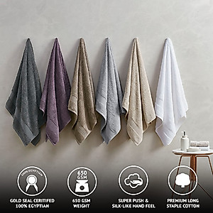 Madison Park Signature Luce 100% Egyptian Cotton Luxurious Bath Towel Set, Silky Soft, Highly Absorbent, Premium Spa Quality, Multi-Sizes, Dark Taupe 6 Piece