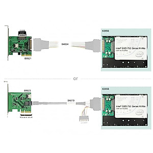 DeLOCK Converter U.2 SFF-8639 to U.2 SFF-8639 Mounting Frame with 3.5 Inch Frame
