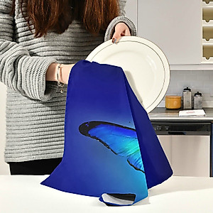 Blue Butterfly Dish Towels for Kitchen Soft Tea Towel Set of 4 Absorbent Dishcloths Hand Towels for Drying Dish Cloths 28" x 18"