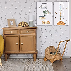 Educational Posters for Toddlers 11x17 inches - Preschool Posters - Worldmap, Solar System Poster, Seasons Chart, USA Map - Nursery Wall Decor - Set of 4 Learning Classroom Posters for Home Kindergarten - Unframed