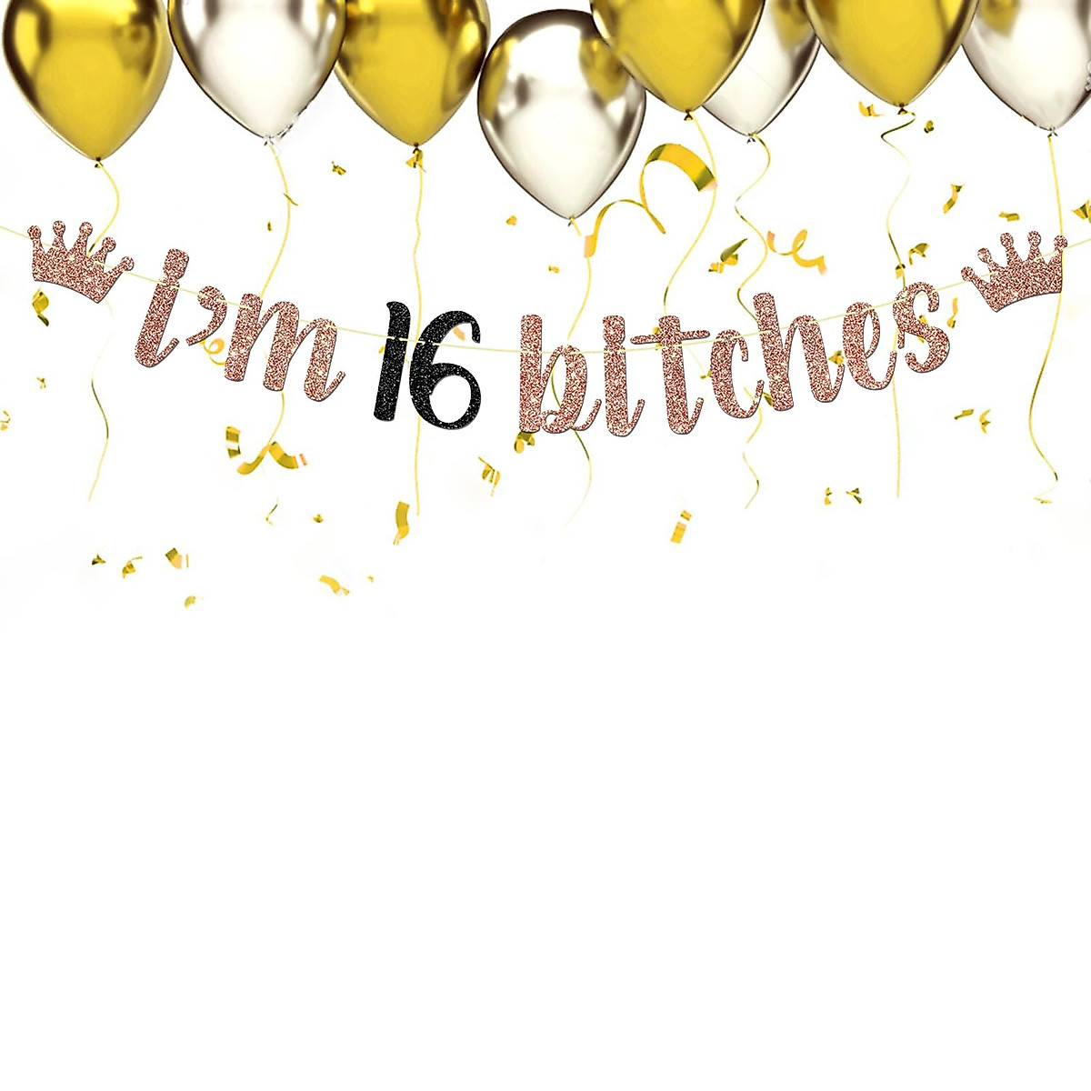 Rose Gold Glitter I’m 16 Bitches Banner - Happy 16th Birthday Banner - Girl's 16th Birthday Party Decorations - Sixteen Years Old Birthday Banner