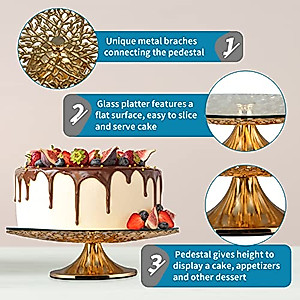 MDLUU Glass Cake Stand 11.6 inch, Cake Platter Pedestal, Dessert Server Display for Wedding, Party, Birthday(Metal Branches Pattern)