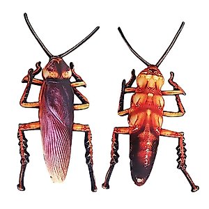 Creative Cockroach Plush Pillow 3D Animal Insect Stuffed Throw Pillow Funny Home Sofa Car Decoration Play Toy Doll Unique Birthday Gift (55 CM=21.5 in)