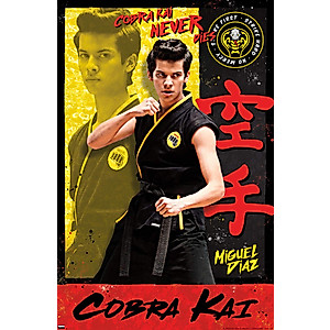 Trends International Cobra Kai - Miguel Wall Poster, 22.37" x 34.00", Unframed Version