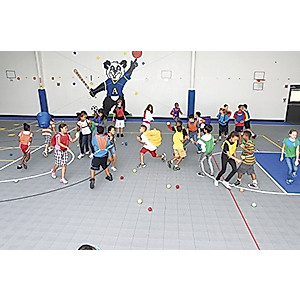 Sportime 6-Team Pursuit Ball Game, Set of 6 Goals and 72 Balls