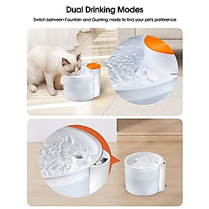 WOPET Cat Water Fountain W500, 118oz/1GAL Ultra Silent True Filtering Dog Water Fountain with Smart Pump LED Light and 6 Layers Filtration, Safe BPA-Free Pet Water Dispense for Multi-Cats (White)