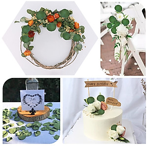 200+ Pcs Dried Real Eucalyptus Leaves, 100% Natural Preserved Bulk Silver Dollar Green Leaves Flower Girl Basket, Biodegradable Confetti for Weeding Registry Items, DIY Baby Shower Decor