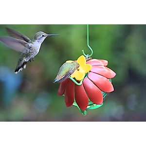 Wild Wings WWSFHF5 So Real Single Flower Hummingbird Feeder, Red/Yellow (2-Pack)