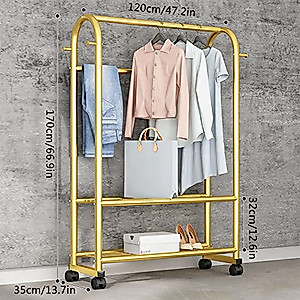 DSIOHFEI Metal Garment Rack Clothing Hanging Rack Free Standing Clothing Hanger with Top Rod,Lower Storage Shelves for Home Bedroom Laundry (Golden)