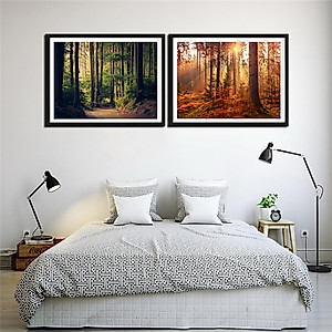 CHUNXIA Paint by Number for Adults Beginner,2 PACK Rolled Canvas Wall Art Easy Painting by Numbers Kit Forest Trees Painting Decor Packaged in a Nice Box,12x16inch(137-138)