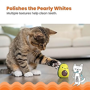 Catstages Lil' Avocato Dental Health Catnip Cat Chew Toy
