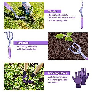 EAONE 43Pcs Garden Tools Set with Basket, Floral Gardening Hand Tools, Gardening Gifts for Women and Plant Lovers, Heavy Duty Tools Kit Including Gardener Gloves, Trowel, Weeder Hand Rake and Pruner