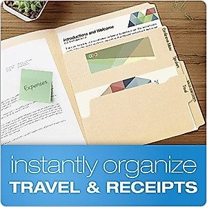 Pendaflex Divide It Up File Folders, Letter Size, Manila, 24/Pack (10770)