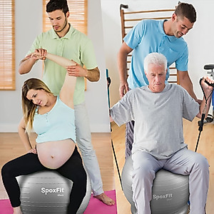 SpoxFit Ball Chair Yoga Ball Set, 65 cm Exercise Ball Chair with Base for Home Office, Stability Balance Ball with Resistance Bands Workout Poster, Home Gym Ball Anti Burst, Silver