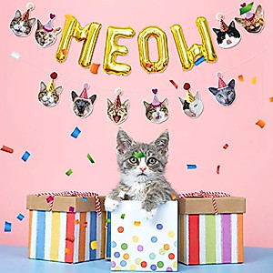 Bessmoso Funny Cat Party Garland Meow Letter Balloons Cats Faces with Party Hats Banner Kitten Bunting Photo Props for Cat Theme Birthday Party Pet Adoption Party Supplies