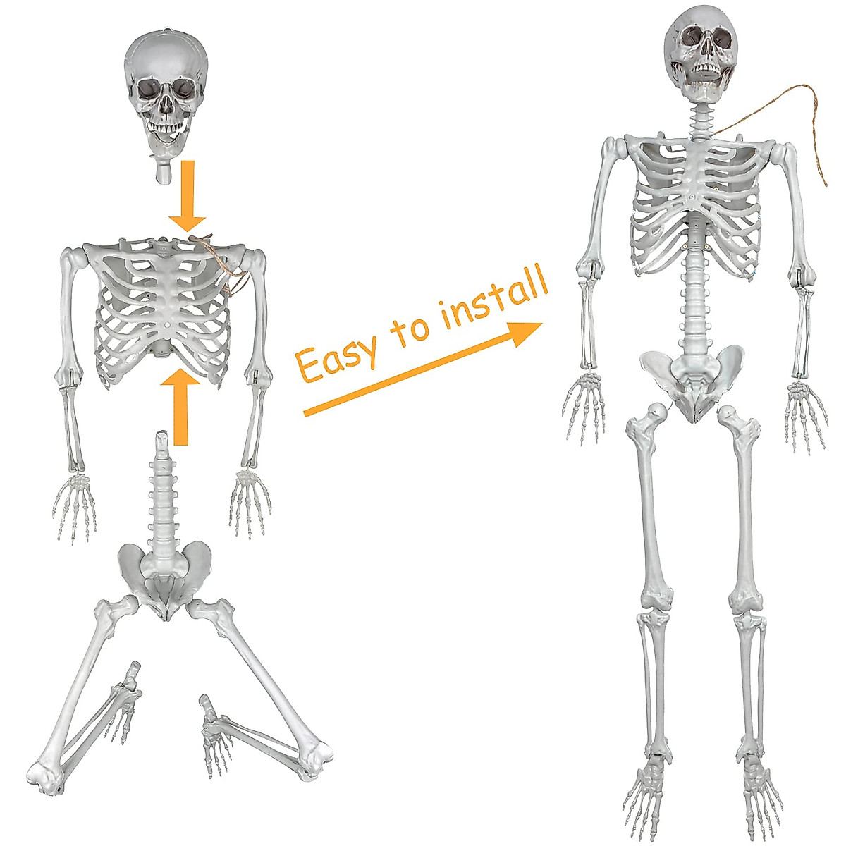 2Packs 5.4ft Halloween Human Skeletons Life Size Full Body Bones with Movable Joints for Halloween Props Spooky Party Decoration