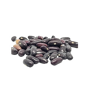 50 Green Bean Seeds for Planting - Provider - Bush Bean - Heirloom Non-GMO Vegetable Seeds for Planting