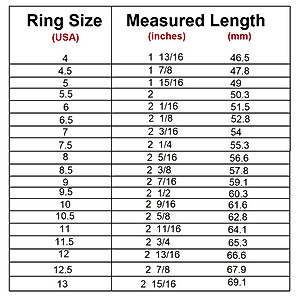 CloseoutWarehouse 925 Sterling Silver Oxidized Twin Sparrows Adjustable Ring Size 8