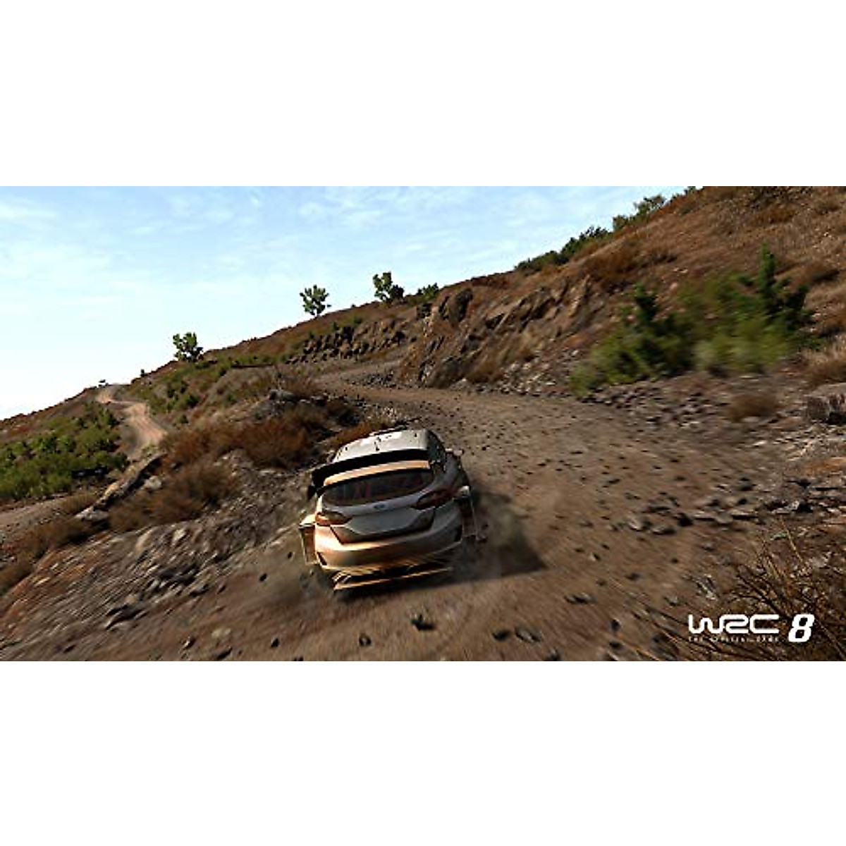 WRC 8: FIA World Rally Championship (PS4)