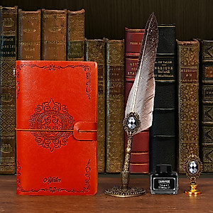 Aifeiter Feather Pen Ink Set,Includes Quill Pen,Notebook,Ink,5 Replaceable Nibs,Pen Holder,Cup,Seal Stamp,Spoon,Wax Bead,White Wax,Envelope & Letter Paper Etc.Feather Calligraphy Pen Set-Grey