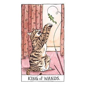 Cat Tarot: 78 Cards & Guidebook (-)