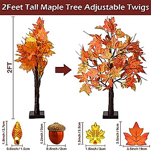 SURCVIO 2 Pack 24 Inch Prelit Fall Maple Tree Fall Decor with 48 LEDs Timer Battery Operated Pinecones Acorns Artificial Autumn Maple Tree for Thanksgiving Harvest Indoor Outdoor Home Decorations