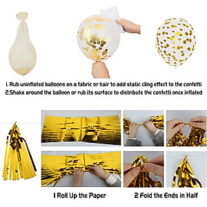 Amandir Birthday Decorations for Men Women, Black and Gold Balloons Party Decorations Happy Birthday Banner Tassels Metallic Fringe Curtains 30th 40th Birthday Graduation Decorations Supplies