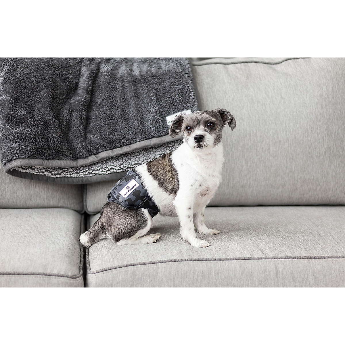 Pet Parents Premium Washable Belly Bands for Male Dogs & Extendrs, (3pack) of Male Dog Diapers & Male Dog Belly Bands, Color: Camo, Size: Large Dog Diapers Male