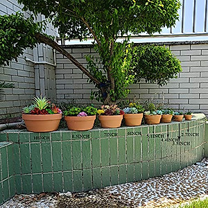 Yishang 6 Inch Terracotta Shallow Planters,Ceramic Flower Clay Plant Pots with Drainage Hole,Unglazed Cactus/succlent Plant Containers Indoor Garden Bonsai Pots