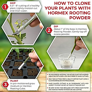 Hormex Rooting Powder #1 - for Moderately Difficult to Root Plants - 0.1 IBA Rooting Hormone for Plant Cuttings - Fast & Effective - Free of Alcohol, Dye, Gel & Preservatives for Healthier Roots, 21g