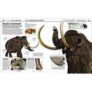 Knowledge Encyclopedia Dinosaur!: Over 60 Prehistoric Creatures as You've Never Seen Them Before (DK Knowledge Encyclopedias)