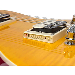 Epiphone Slash "AFD" Signature Les Paul Special-II, with Gig Bag