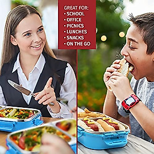 Signoraware Stainless Steel Bento Box Adult Lunch Box For Men, Women, Kids Bento Lunch Box Leak Proof Between 2 Compartments Meal Prep Containers Lunch Containers For Adults And Kids School Aqua Blue