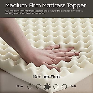 Treaton 2-inch Soft Foam Toppers with Convoluted Egg Shell Design | Extends Mattress Topper Life, Provides Proper Back Support and Relieves Pain, Improves Better Posture, Twin, Off-White