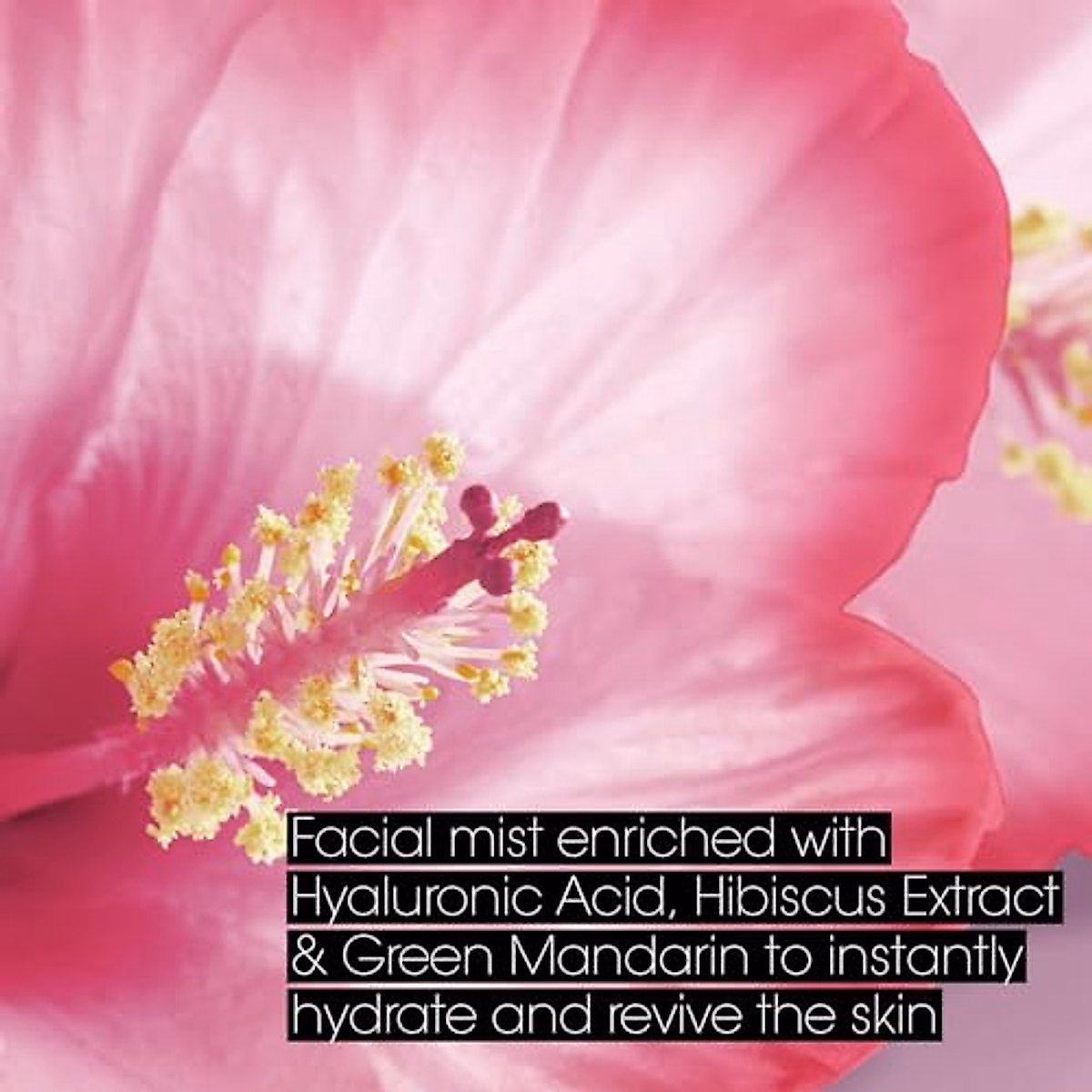 St.TropezZ Self Tan Purity Mini Kit, Travel Size, Bronzing Water Mousse 1.69 Fl Oz, Tanning Water Face Mist 0.47 Fl Oz and Applicator Mitt, Vegan, Natural & Cruelty Free