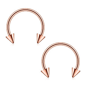 Ruifan 316L Surgical Steel CBR Horseshoe Circular Rings Nose Eyebrow Tragus Lip Ear Hoop Ring Piercing With 3mm Spikes 20G 10MM 12PCS